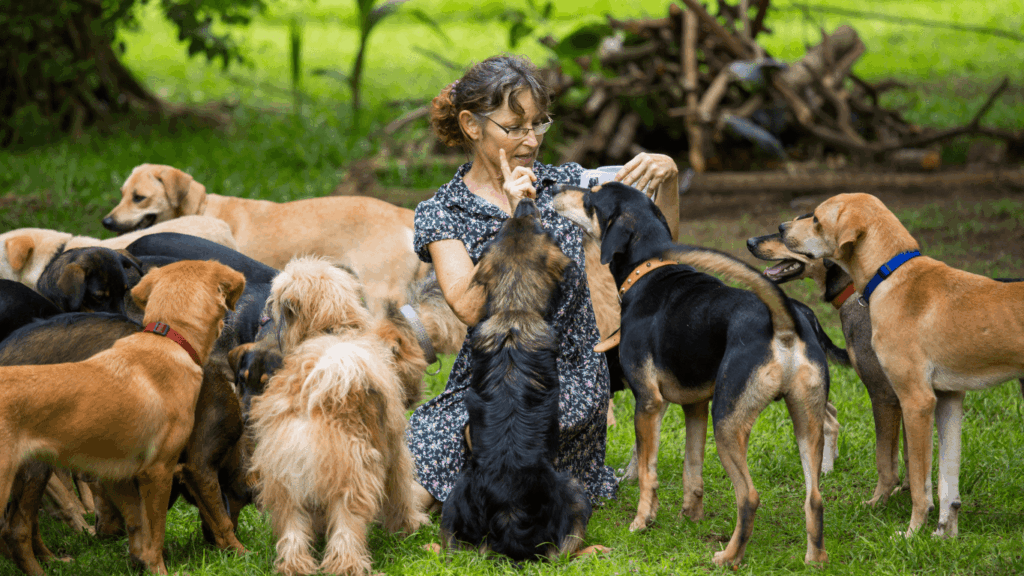 Top 10 Most Beautiful Dog Breeds in the World That Will Steal Your ...